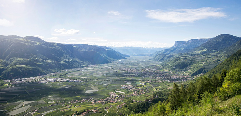 En su centenario, Dr. Schär establece nuevos estándares de ...
